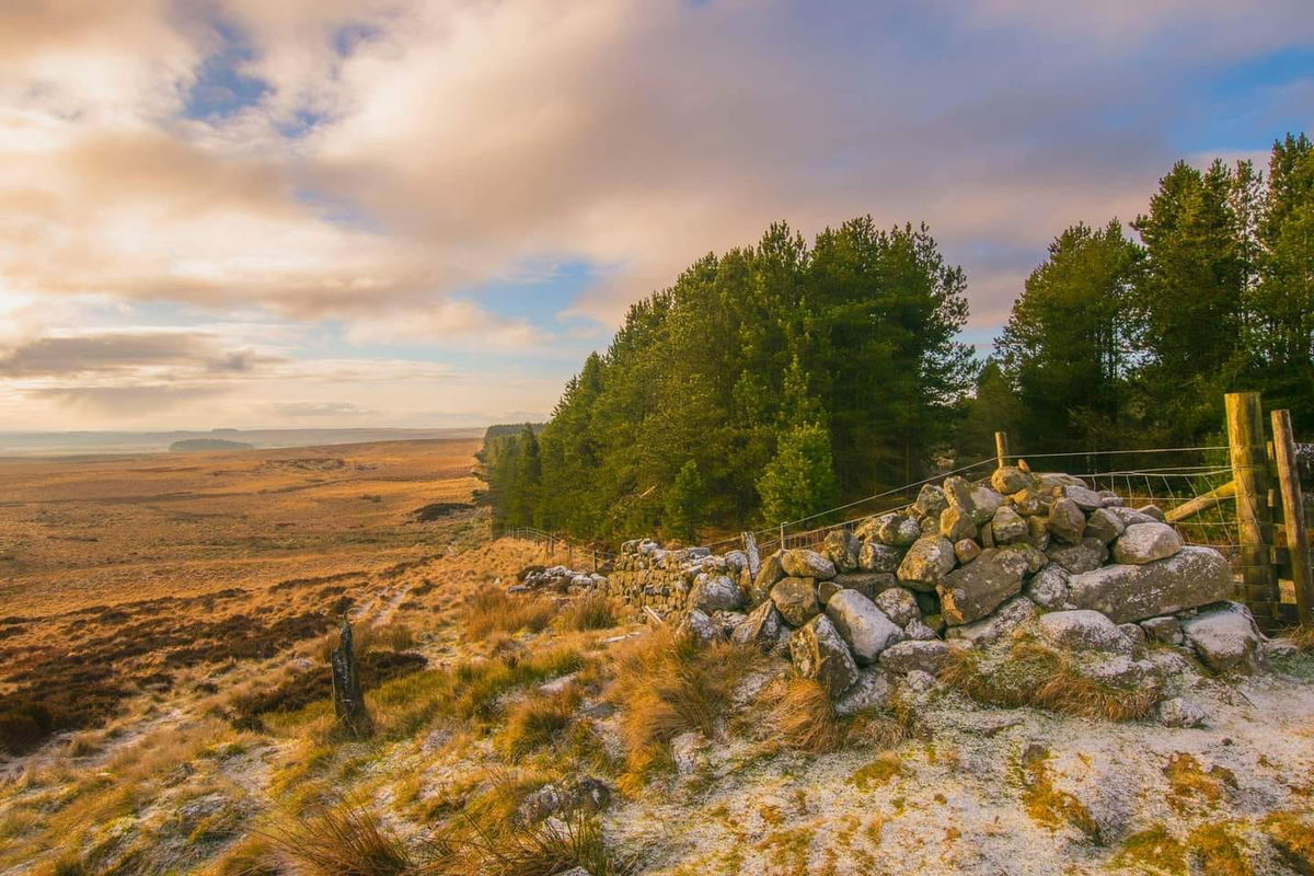 Walk To Simonside And Fontburn Reservoir In Rothbury - Fabulous North
