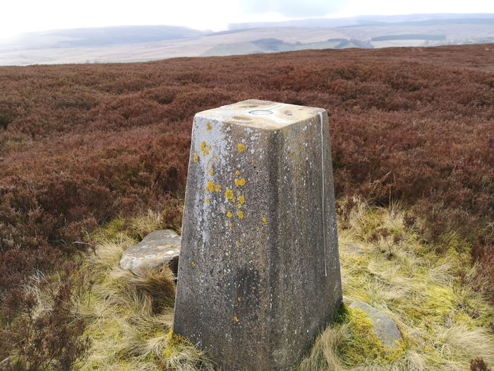 Blackmoor Skirt Trig Point In Bellingham - Northumberland Trig Points