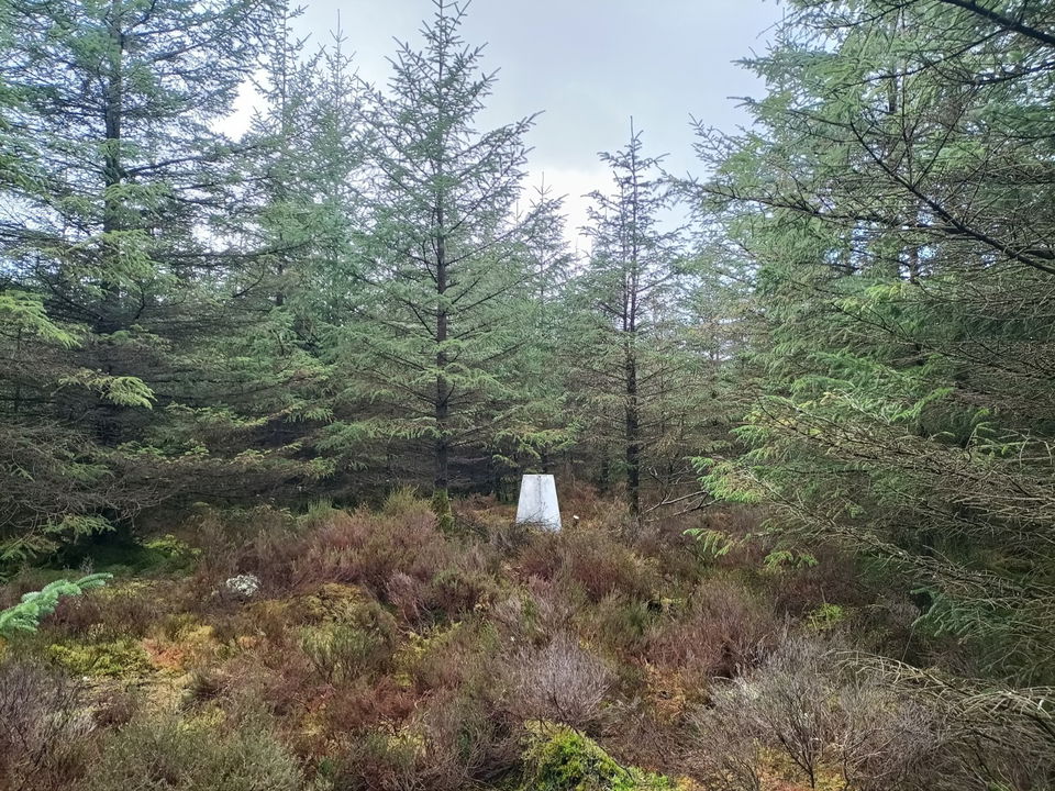 Highfield Trig Point In Falstone - Northumberland Trig Points