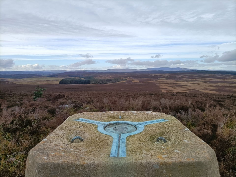Shirlah Pike Trig Point In Rothbury - Northumberland Trig Points