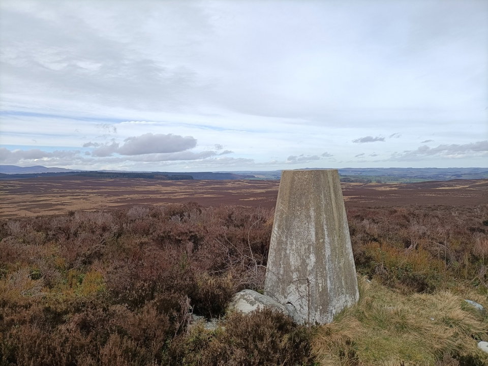 Shirlah Pike Trig Point In Rothbury - Northumberland Trig Points