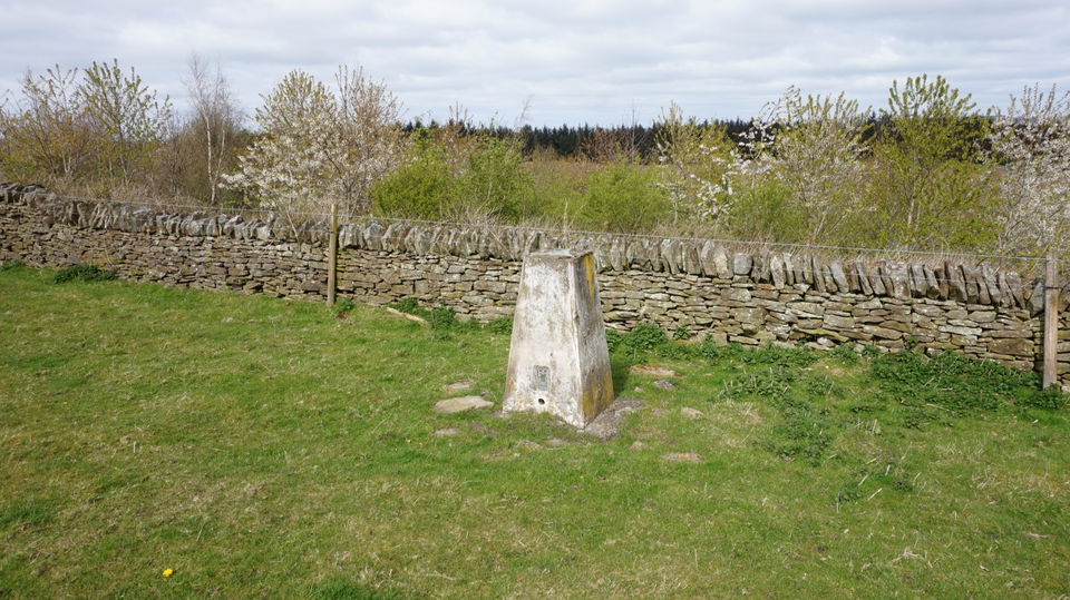 Dilston Trig Point In Corbridge - Northumberland Trig Points