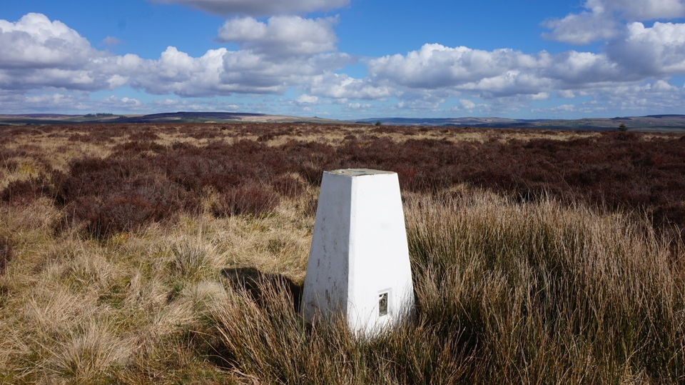Ealingham Rigg Trig Point In Bellingham - Northumberland Trig Points
