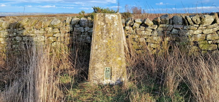 Barley Hill Trig Point In Blanchland - Fabulous North