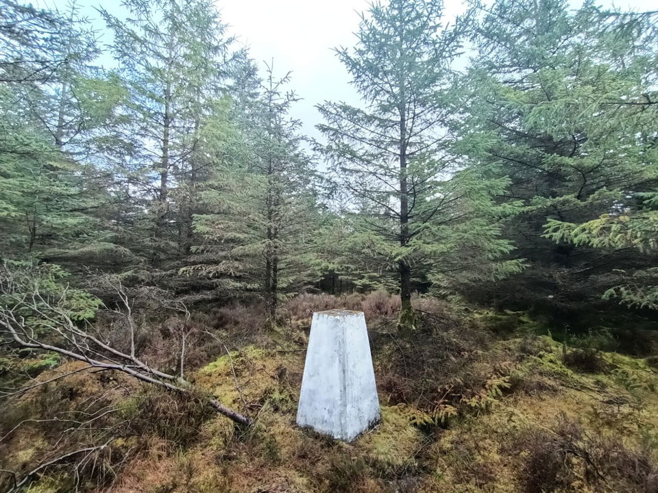 Highfield Trig Point In Falstone - Northumberland Trig Points