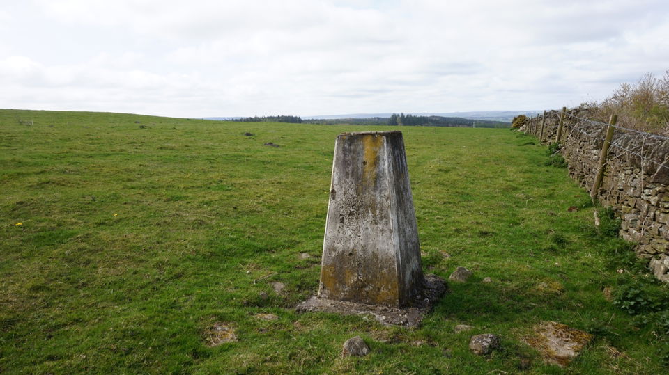 Dilston Trig Point In Corbridge - Fabulous North