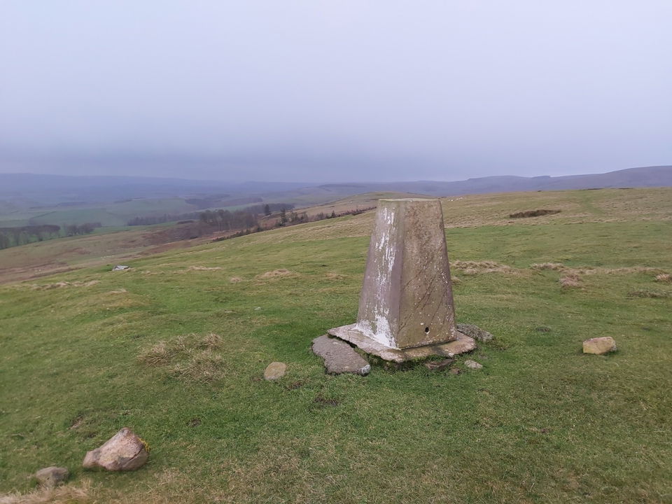 Hart Law Trig Point In Alnham - Northumberland Trig Points