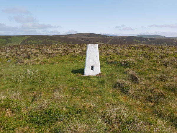 Lamb Hill Trig Point In The Cheviots - Northumberland Trig Points