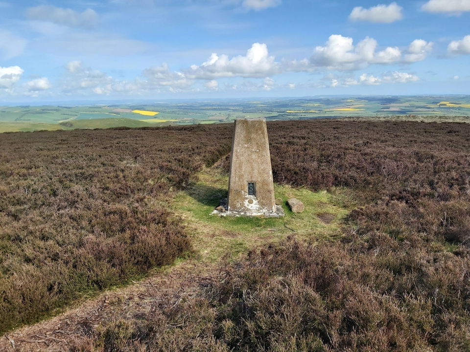 Gains Law Trig Point In The Cheviots - Northumberland Trig Points