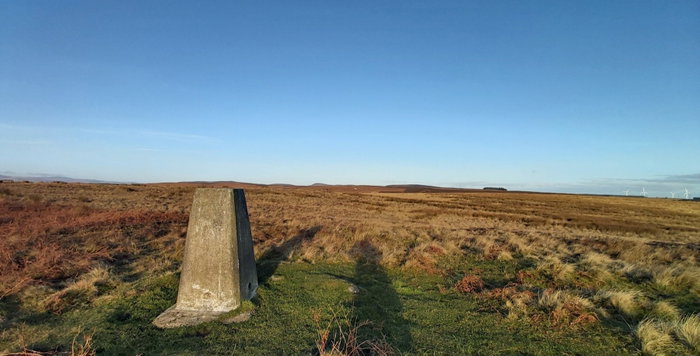 Curleheugh Trig Point In Chillingham - Northumberland Trig Points