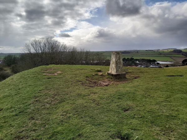 Night Fold Field Trig Point In Alnmouth - Northumberland Trig Points