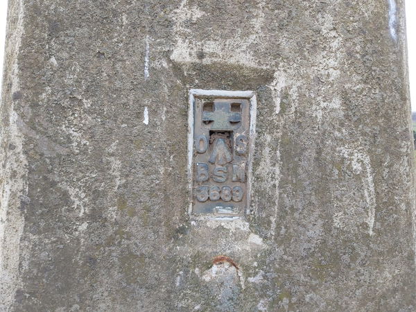 Night Fold Field Trig Point In Alnmouth - Northumberland Trig Points