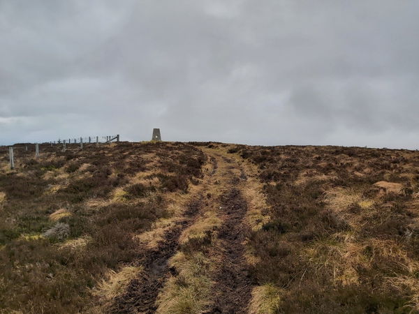 Wether Cairn Trig Point In The Cheviots - Northumberland Trig Points