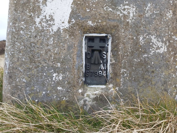 Wether Cairn Trig Point In The Cheviots - Northumberland Trig Points