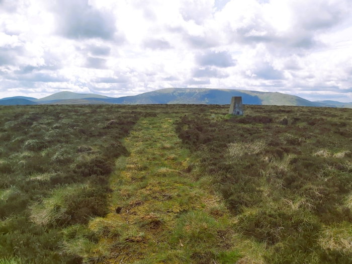 Newton Tors Trig Point In The Cheviots - Northumberland Trig Points