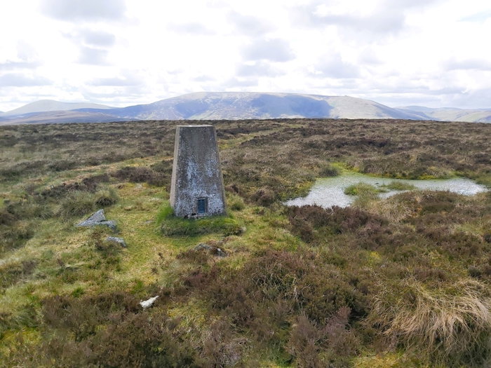 Newton Tors Trig Point In The Cheviots - Northumberland Trig Points