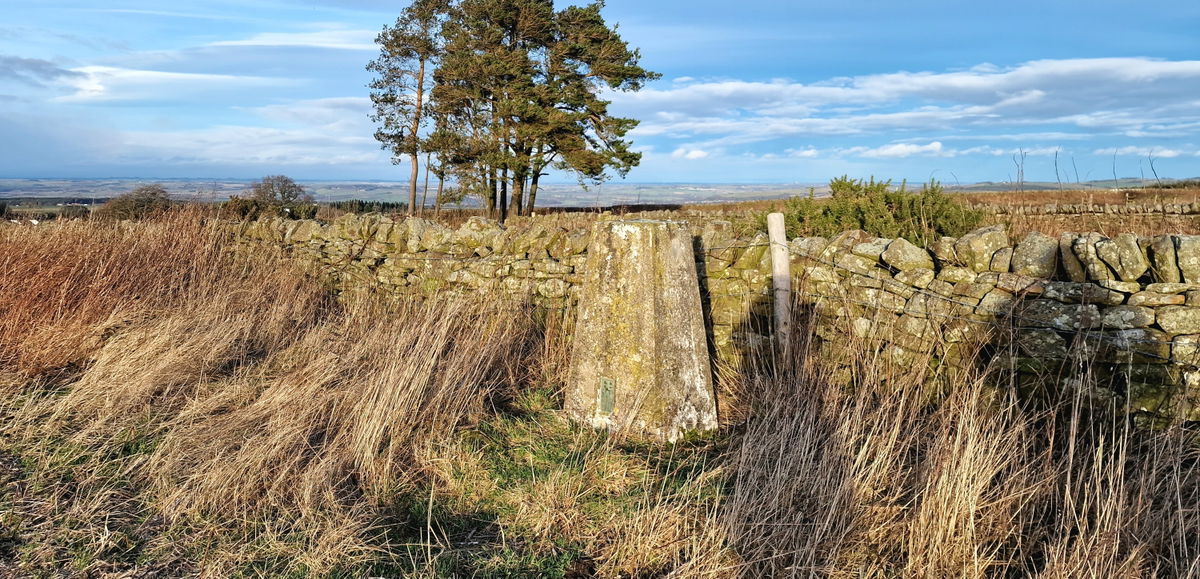 Barley Hill Trig Point In Blanchland - Northumberland Trig Points