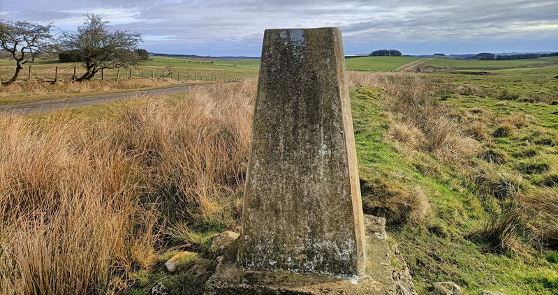 Batey Catreen Trig Point In Bellingham - Northumberland Trig Points