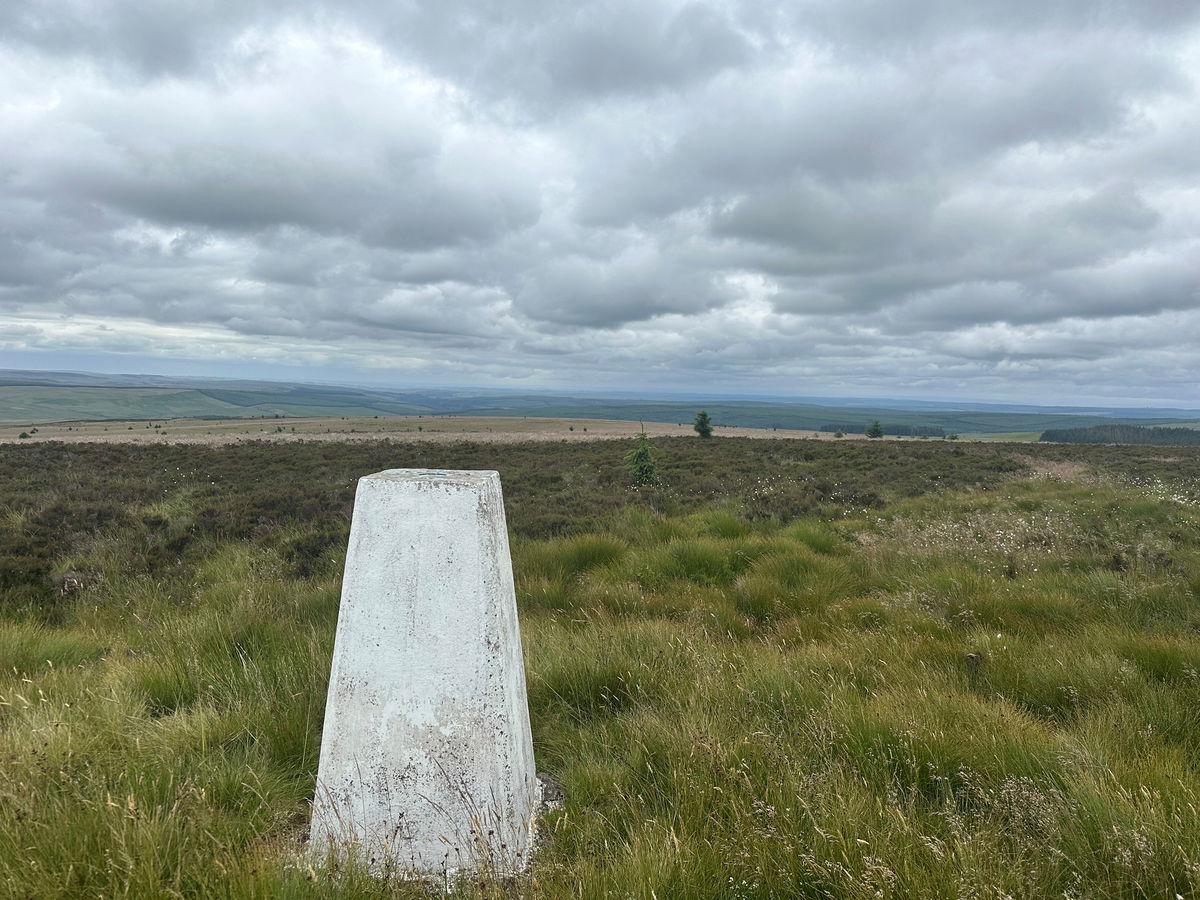 Berrymoor Edge Trig Point In Kielder - Northumberland Trig Points
