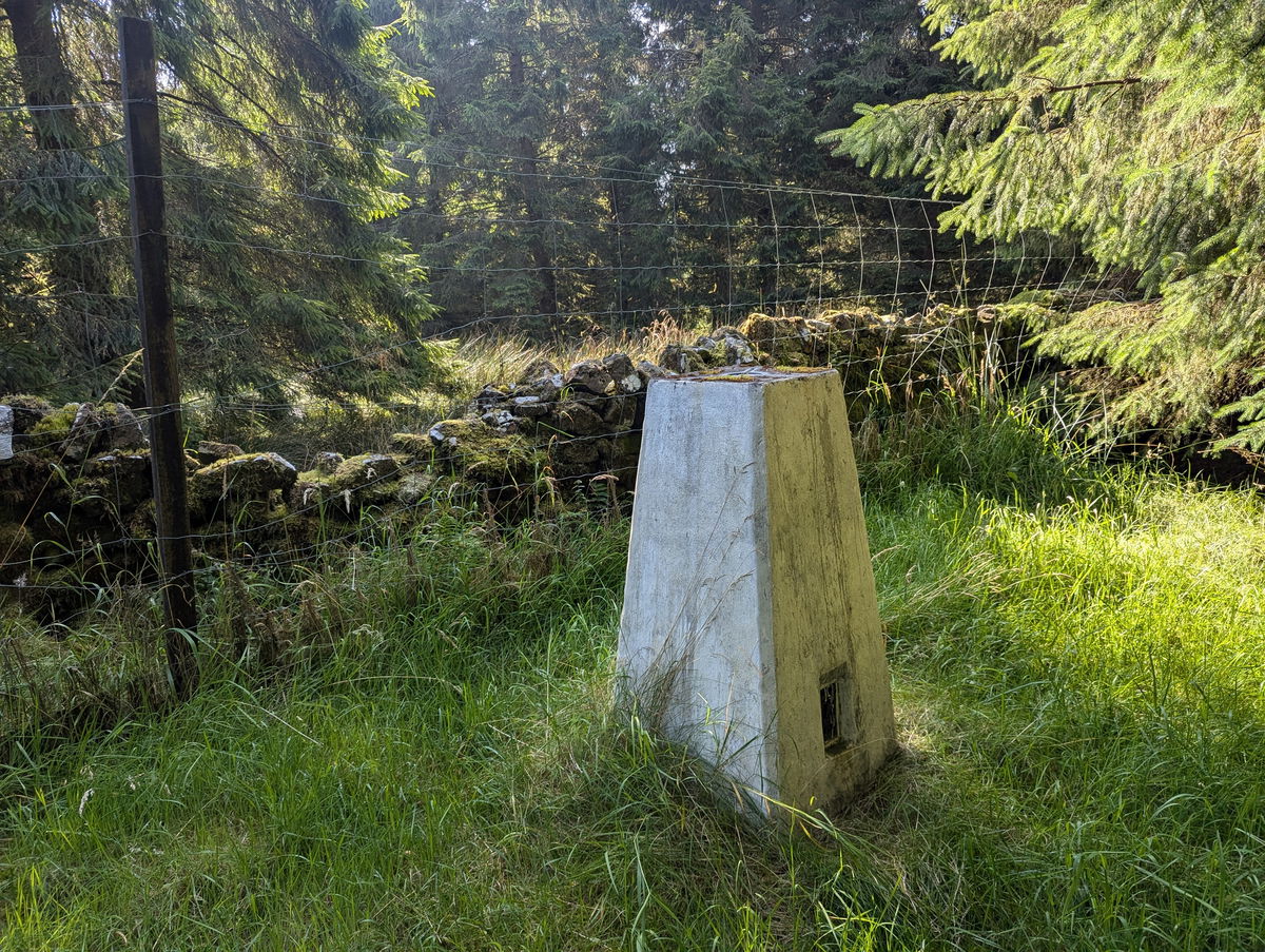 Birk Hill Trig Point In Stonehaugh - Northumberland Trig Points