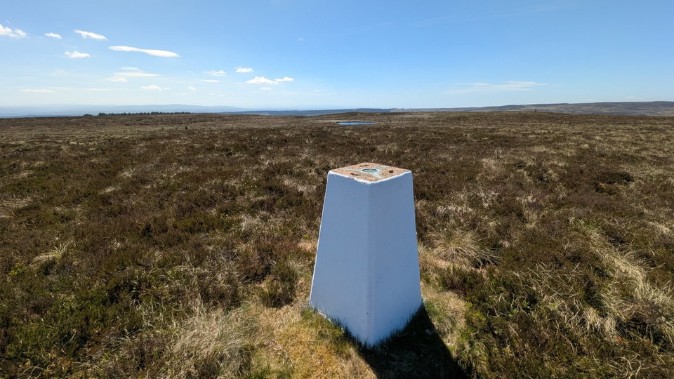Black Knowe Trig Point In Kielder - Northumberland Trig Points
