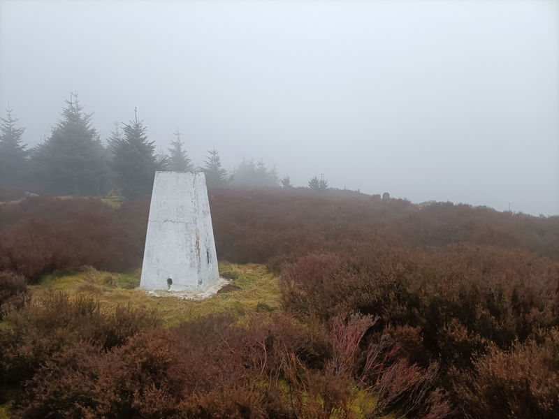 Blackburn Common Trig Point In Kielder - Northumberland Trig Points