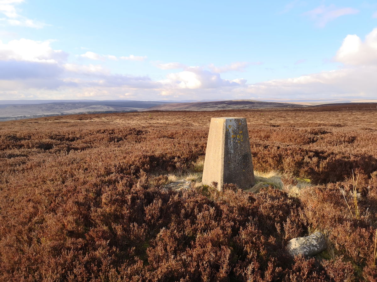 Blackmoor Skirt Trig Point In Bellingham - Northumberland Trig Points
