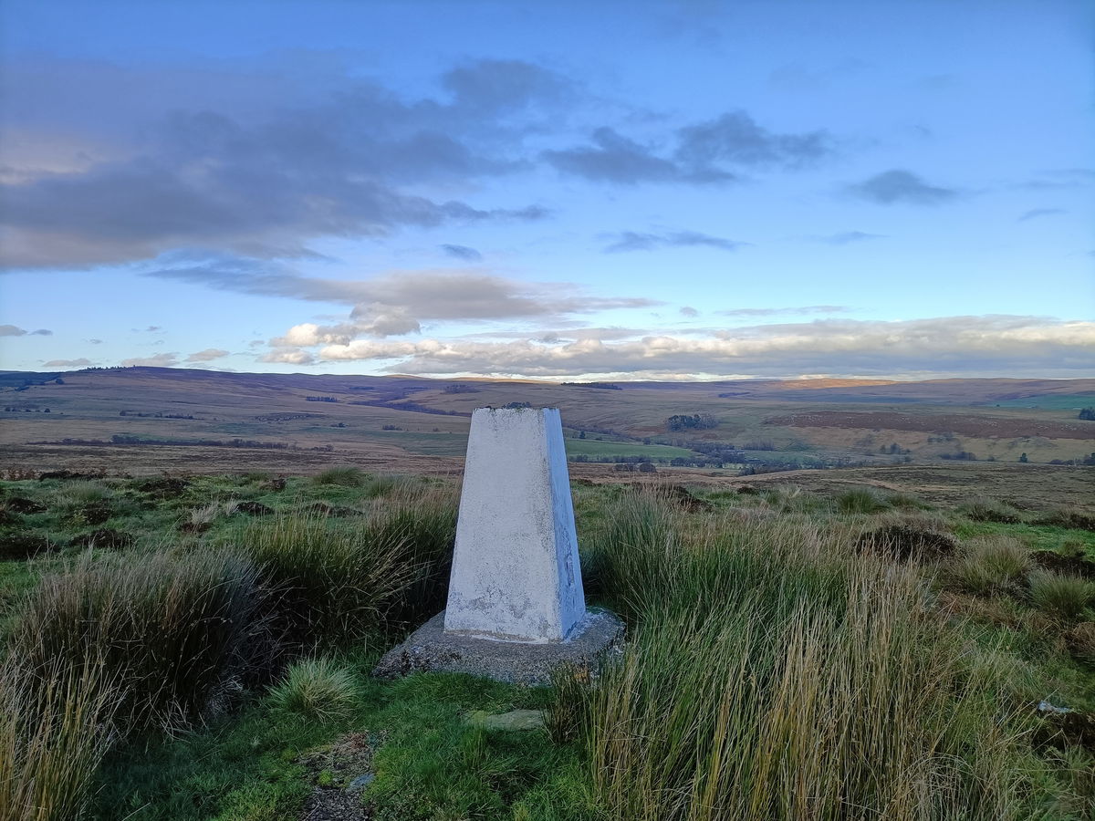 Blackwool Law Trig Point In Rochester - Northumberland Trig Points