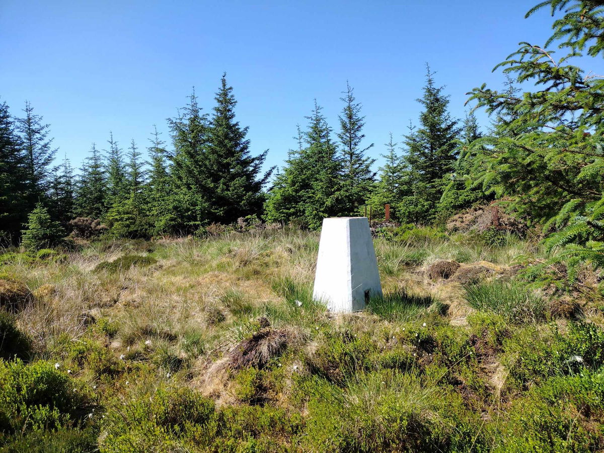 Cairnglastenhope Trig Point In Kielder - Northumberland Trig Points