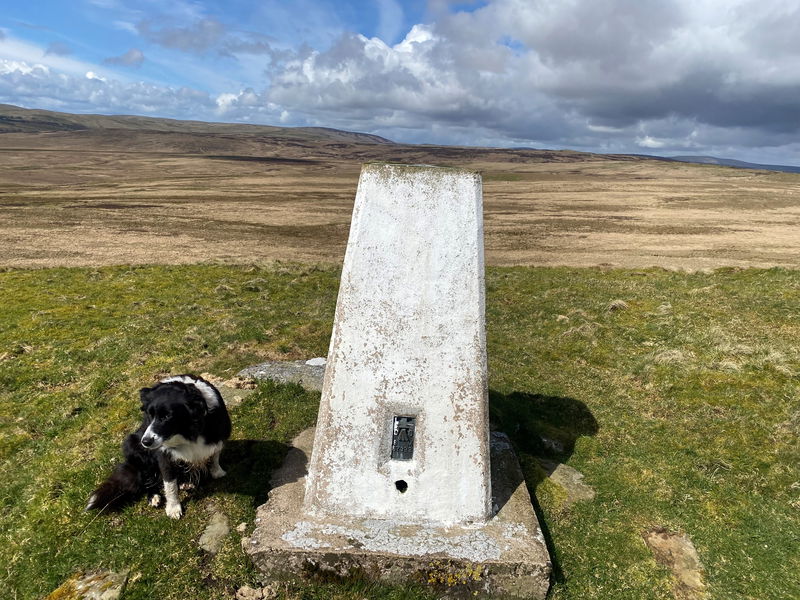 Corby Pike Trig Point On The Otterburn Ranges - Northumberland Trig Points