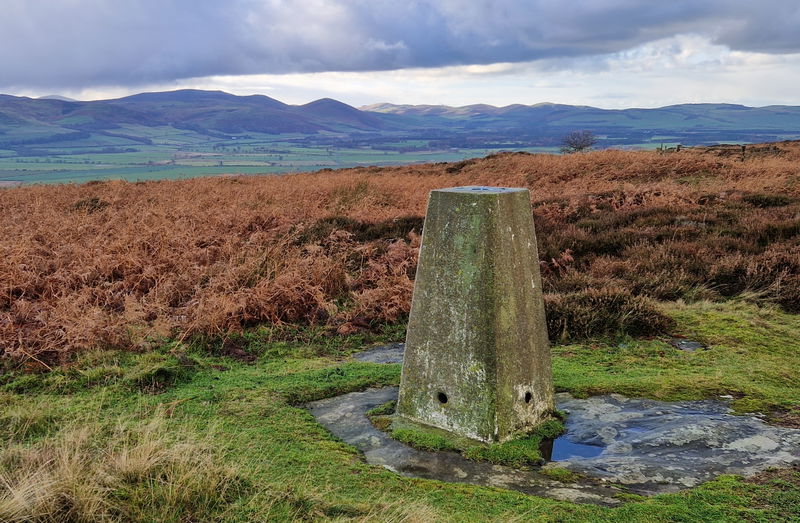 Dod Law Trig Point In Doddington - Northumberland Trig Points