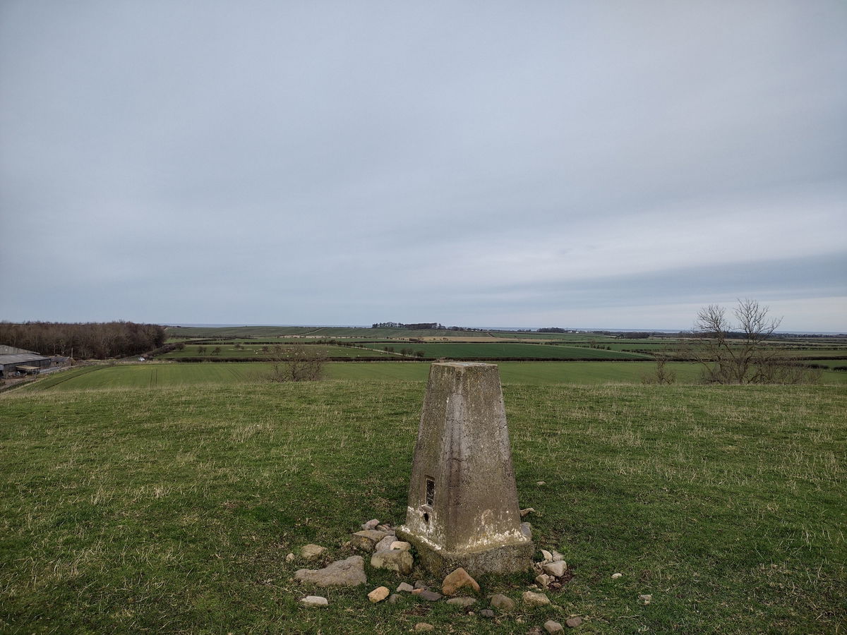 Ell Hill Trig Point In Bamburgh - Northumberland Trig Points