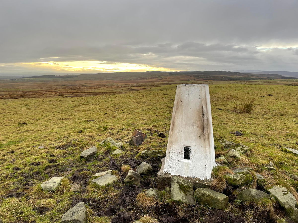 Freemanshill Moor Trig Point In Edlingham - Northumberland Trig Points