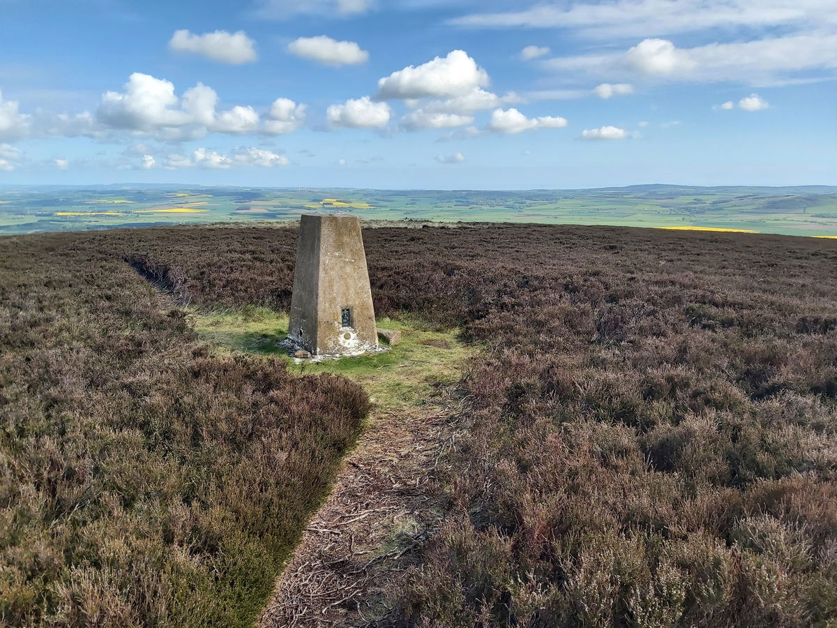 Gains Law Trig Point In The Cheviots - Northumberland Trig Points