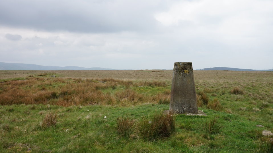 Gapshields Trig Point In Gilsland - Northumberland Trig Points