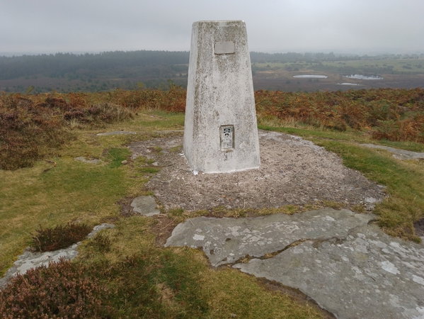 Greensheen Hill Trig Point In Belford - Northumberland Trig Points