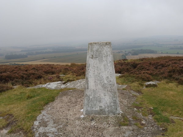 Greensheen Hill Trig Point In Belford - Northumberland Trig Points