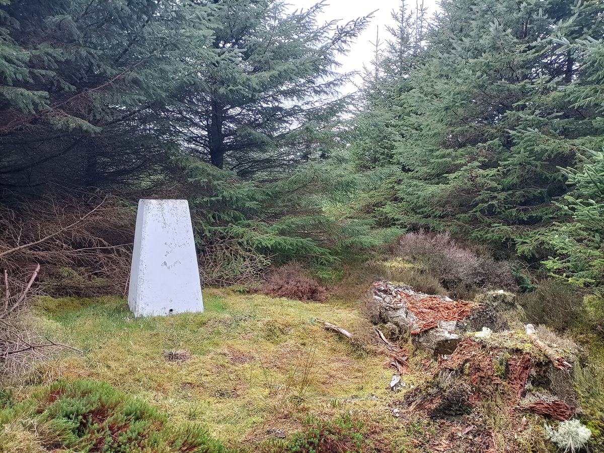 Greenside Trig Point In Kielder - Northumberland Trig Points