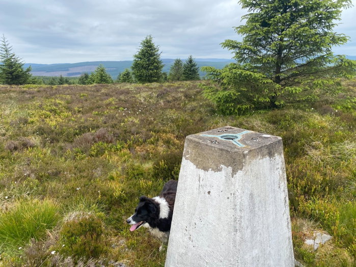 Grey's Pike Trig Point In Kielder - Northumberland Trig Points