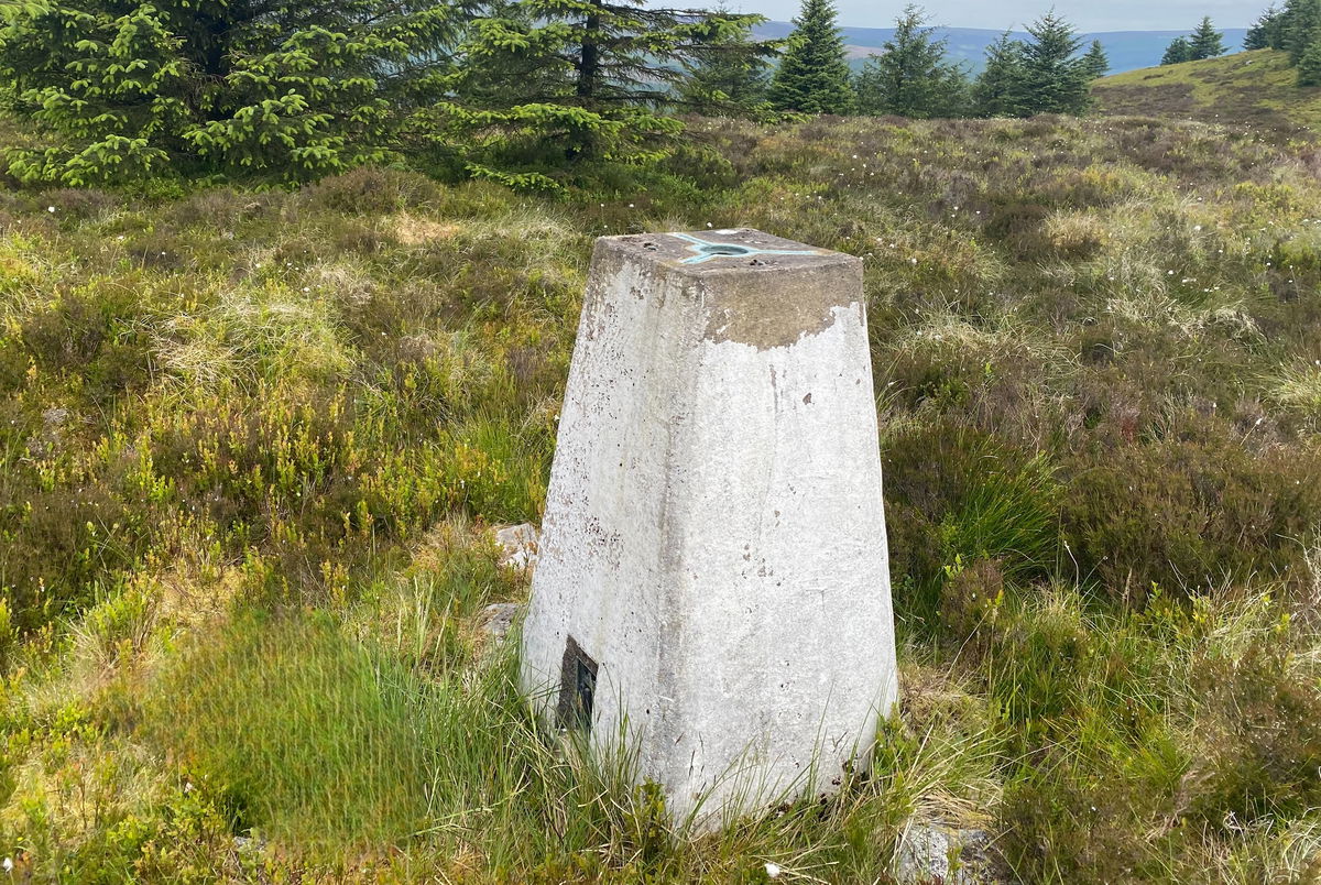 Grey's Pike Trig Point In Kielder - Northumberland Trig Points