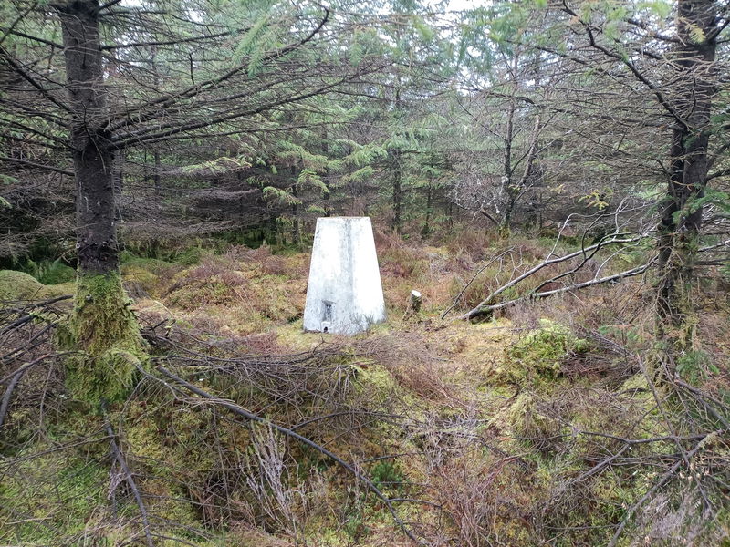Highfield Trig Point In Falstone - Northumberland Trig Points