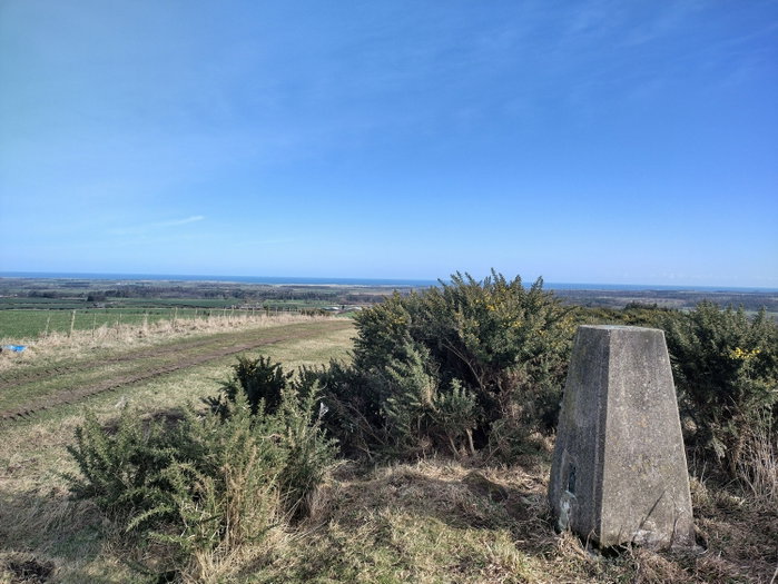 Tinely Moor Trig Point In Preston - Northumberland Trig Points