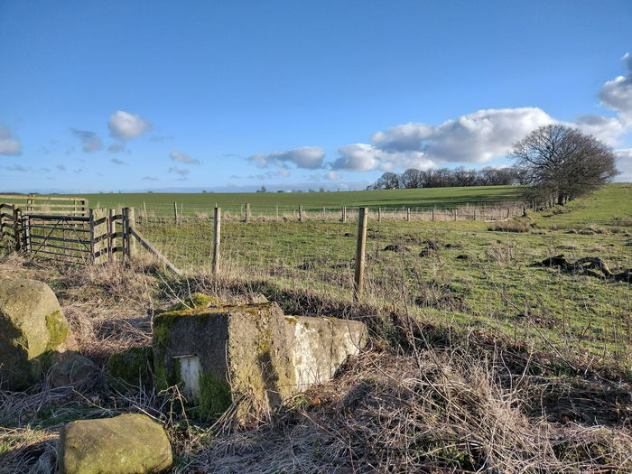 Pigdon Trig Point In Morpeth - Northumberland Trig Points