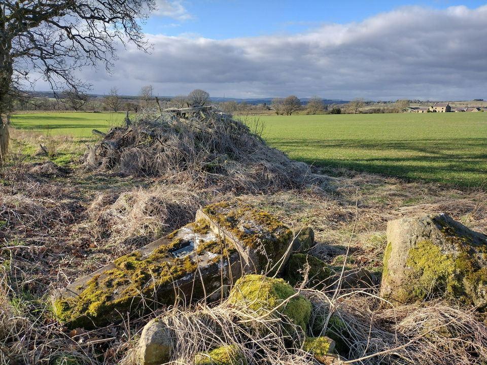 Pigdon Trig Point In Morpeth - Northumberland Trig Points