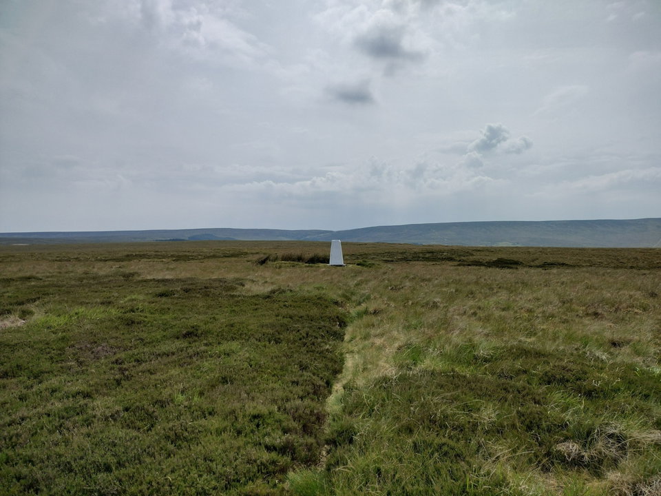 Green Hill Trig Point In Allendale - Northumberland Trig Points