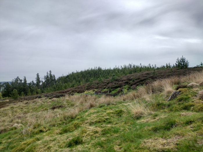 The Beacon Trig Point In Harbottle - Fabulous North