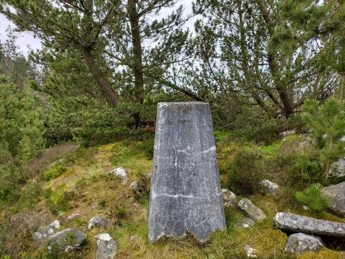 The Beacon Trig Point In Harbottle - Northumberland Trig Points