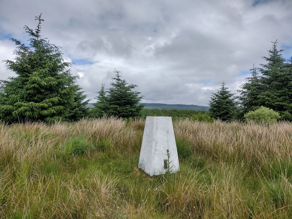 Little Hen Hill Trig Point In Kielder - Northumberland Trig Points