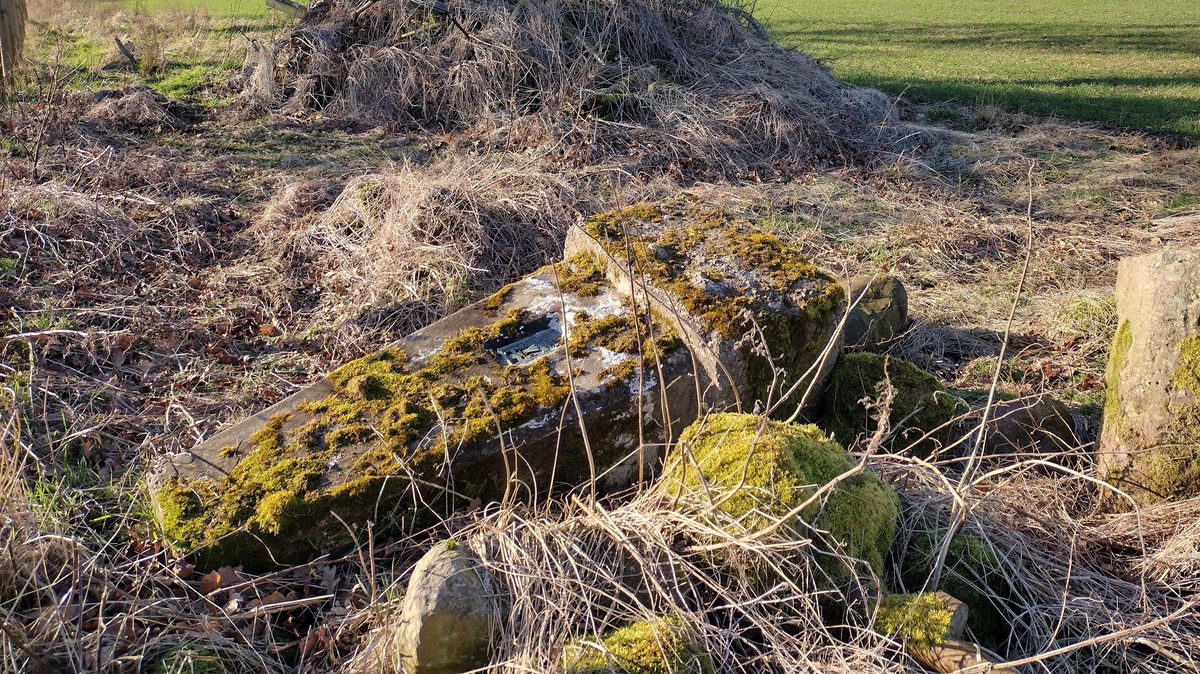 Pigdon Trig Point In Morpeth - Northumberland Trig Points