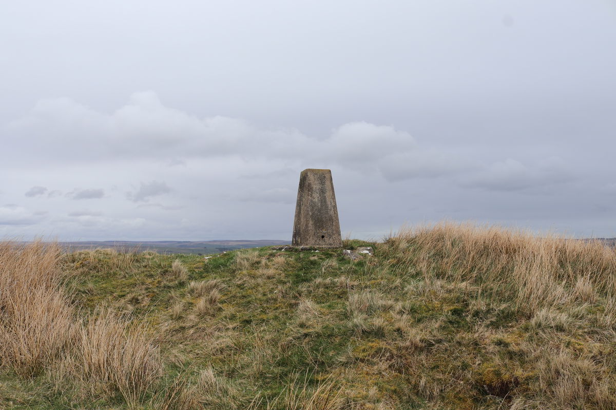 Ravensheugh Crags Trig Point In Simonburn - Northumberland Trig Points